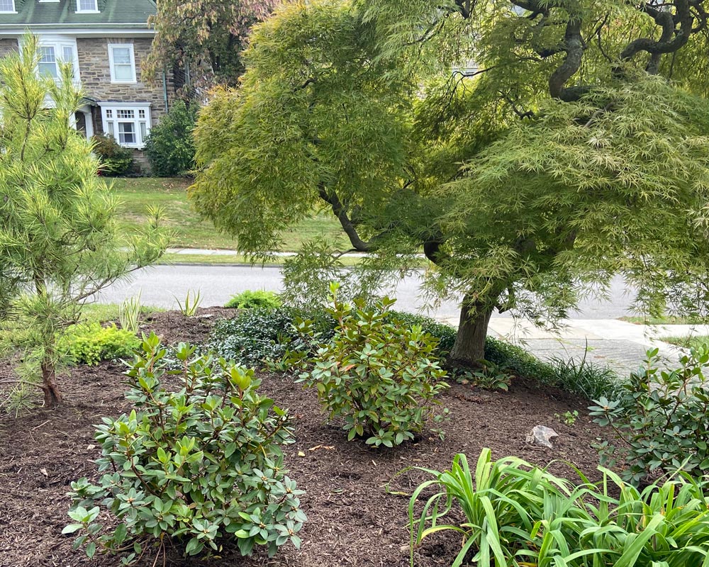 The Art of Integration: Creating Cohesion Between New and Existing ...